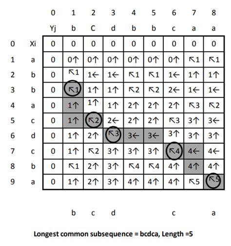 dynamic programming in python top 10 problems with code