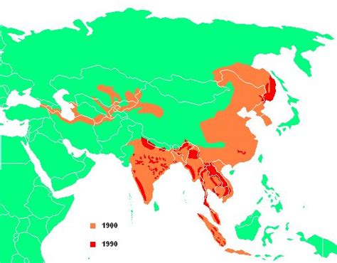 This Article Talks About Tigers Habitats And What They Look For In An