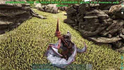 Raideo Ark Youtube