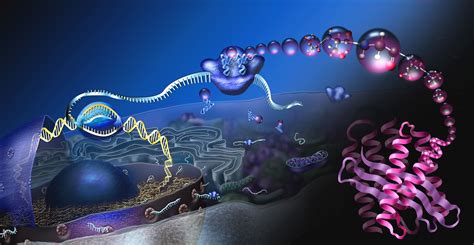 Molecular Biology Wallpapers Wallpaper Cave