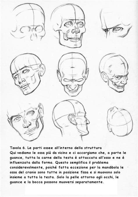 Nel Libro Disegnare La Testa E Le Mani Andrew Loomis Scrive