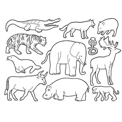 Coloriage Animaux sauvages de la jungle 21120 Animaux Dessin à