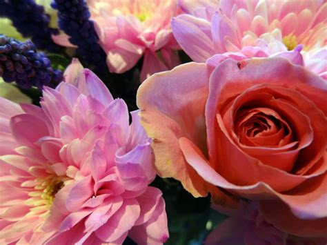 Solve Flowers Jigsaw Puzzle Online With Pieces