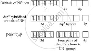 Write The Hybridization Type And Magnetic Behaviour Of The Complex Ni