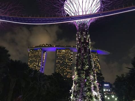 Qué ver en Singapur 10 visitas imprescindibles que no puedes perderte