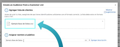 Públicos Similares Basados en Valor de Facebook Ads Felipe Vergara