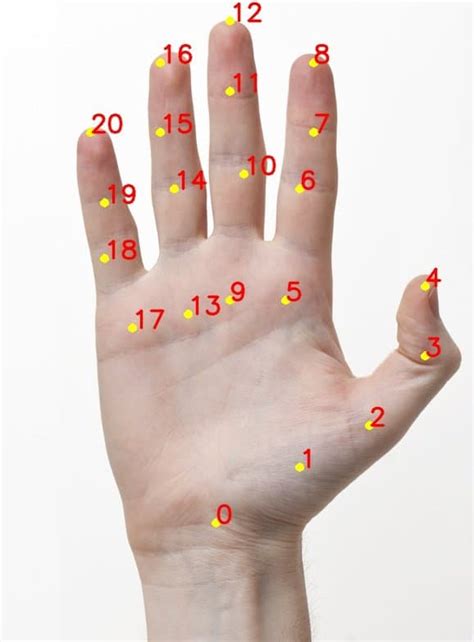 Hand Keypoint Detection Using Deep Learning And OpenCV LearnOpenCV