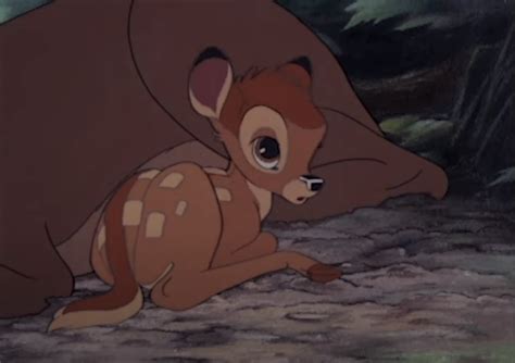 New Translation Of Bambi Showcases Tale As Allegory On Early Austrian