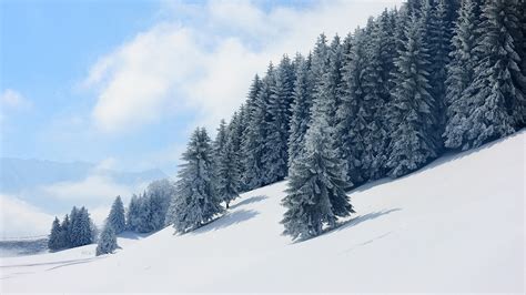 Nieve Rboles Invierno Foto Gratis En Pixabay Pixabay