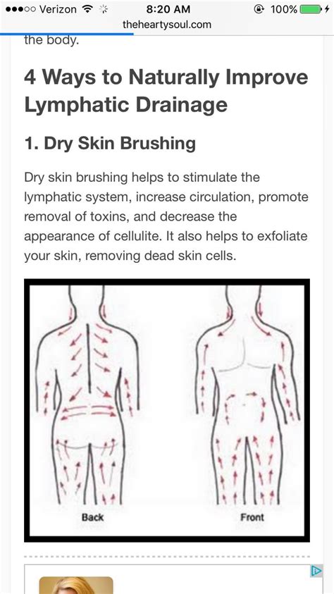 Lymphatic Drainage Dry Brushing Chart
