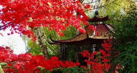 5 jardins japonais sublimes et méconnus près de Paris pour voir les