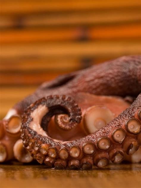 Deep Fried Octopus From Spain Visit Southern Spain