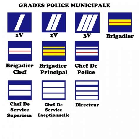 Arriba 84 Imagen Carte Police Municipale Fr Thptnganamst Edu Vn