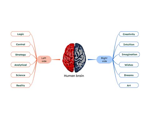 How To Mind Map Like A Pro Complete Guide For Beginners