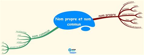 Nom propre et nom commun pour CP CE1 Maître Lucas