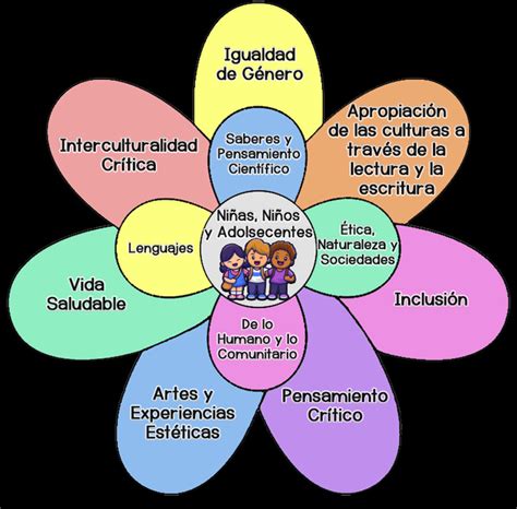 Los Campos Formativos De Primaria Material Educativo Y Material