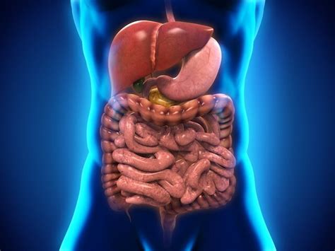 Wrzodziejące zapalenie jelita grubego colitis ulcerosa przyczyny