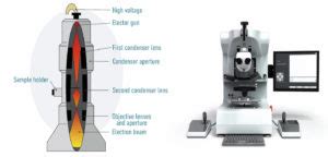 Light Vs Electron Microscope What S The Difference With Pictures