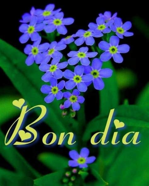 Pin de Pilar Castaño en Bon dia en 2024 Buenos dias feliz dia Buenos