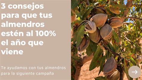 Poda De Higuera Gu A Completa Para Un Cultivo Saludable Y Abundante