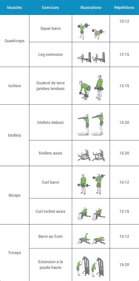 Programme Musculation Débutant Espace Musculation Bodybuilding