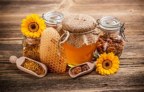 Abejas Mel Feras Son Mucho M S Que Polinizadoras