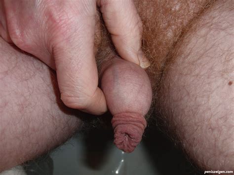 Sch Ner Penis Ohne Vorhaut Wird Verw Hnt Telegraph