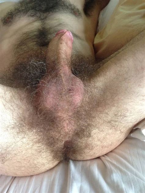 Hairy Furry Penis Telegraph