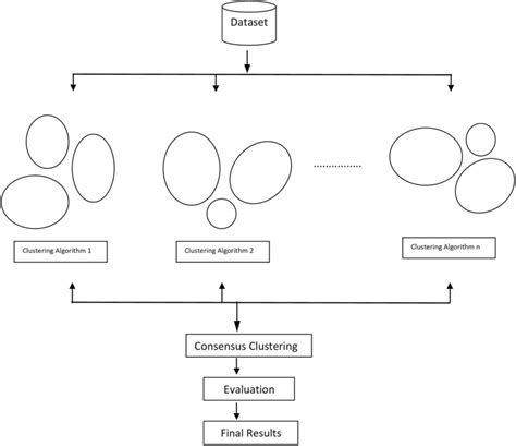 framework of ensemble clustering download scientific diagram