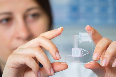 La Nanomedicina Como Alternativa En La Salud Mundial Rebagliati Salud