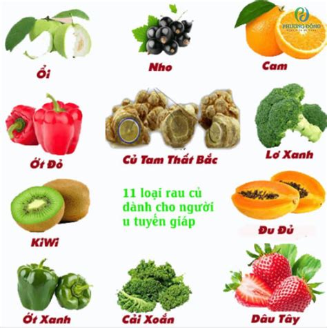 Người Mổ U Tuyến Giáp Kiêng Ăn Gì Hướng Dẫn Dinh Dưỡng Từ A Z