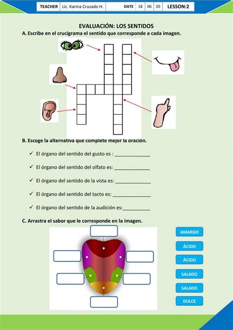 Evaluación Los sentidos worksheet Organos de los sentidos Los