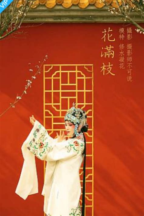 YITUYU艺图语 2021 12 18 花满枝 修水凝花 懒人部落