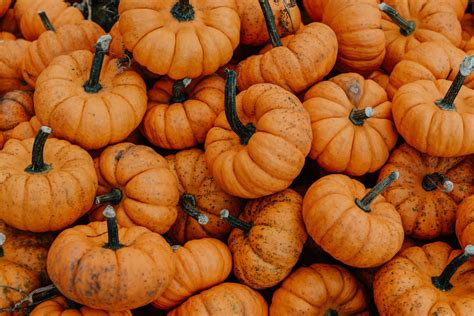 20 Fall Computer Backgrounds That Ll Instantly Make You Feel Cozy