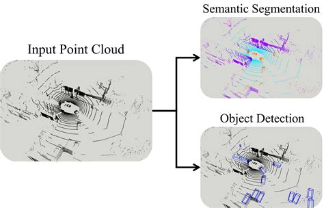 LiSD An Efficient Multi Task Learning Framework For LiDAR Segmentation
