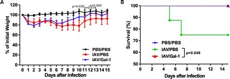 Frontiers Galectin 1 Ameliorates Influenza A H1N1pdm09 Virus Induced