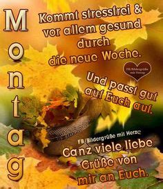 110 Herbstliche Grüße Ideen grüße guten morgen gruss guten morgen