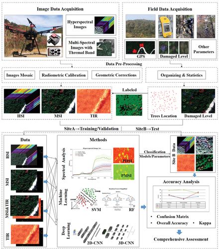 full article applicability of uav based optical imagery and classification algorithms for