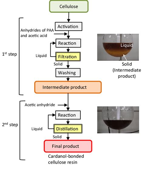 flow diagram of two step heterogeneous process and photograph of download scientific diagram