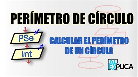 Perimetro De Un Circulo En PSeInt YouTube