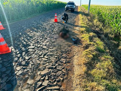 Corpo carbonizado e golpes de facão é encontrado no interior de