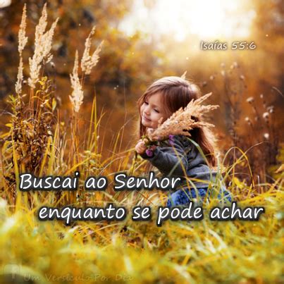 Meditação Diaria da Palavra de DEUS BUSQUE AO SENHOR
