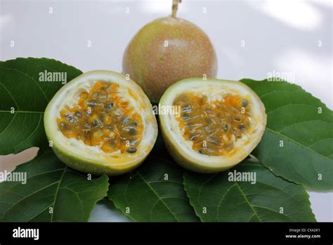 Fruto de Passiflora edulis comúnmente llamada fruta de la pasión