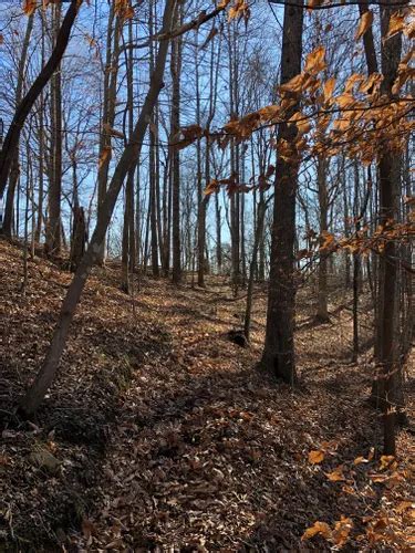Best Hikes And Trails In Bassett AllTrails