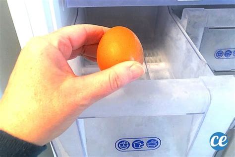 Comment Conserver Des Oeufs Durs Pendant 1 Mois Sans Risques