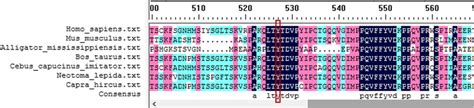 multiple sequence alignments multiple sequence alignments of the frmd7 download scientific