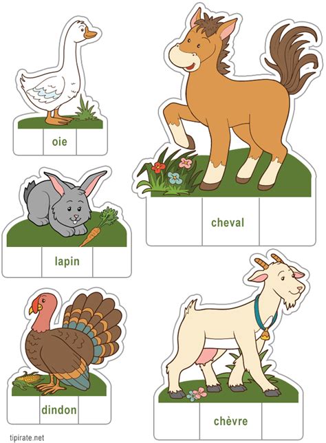 Animaux de la ferme Activités pour la Section Maternelle