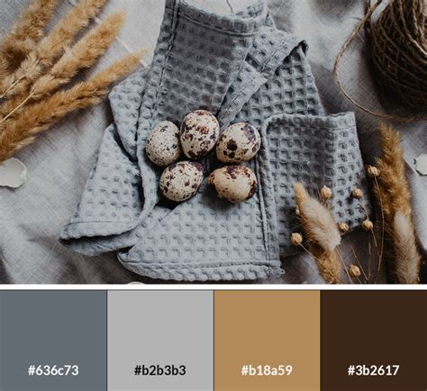 25 Earth Tone Color Palettes With Hex Codes Vandelay Design