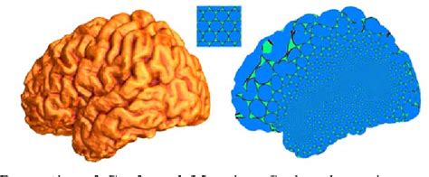 figure 1 from brain mapping with the ricci flow conformal parameterization and multivariate