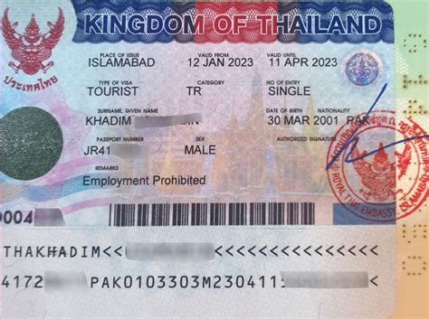 Thailand E Visa Price For Pakistanis Fees Guide